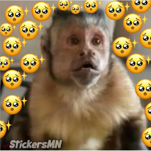 Sticker Maker - Memes Del Monito??