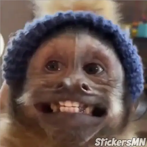 Sticker Maker - Memes Del Monito??
