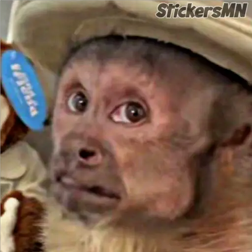Sticker Maker - Memes Del Monito??
