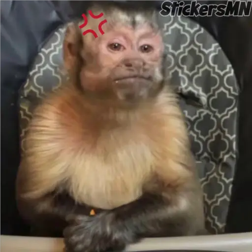 Sticker Maker - Memes Del Monito??