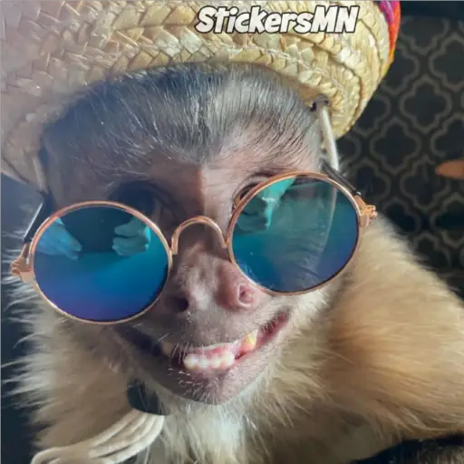 Sticker Maker - Memes Del Monito??