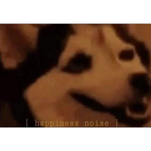 Sticker Maker - memes overload