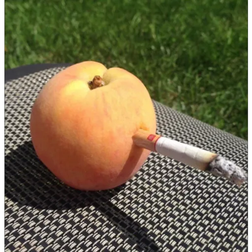 Sticker Maker - memes overload