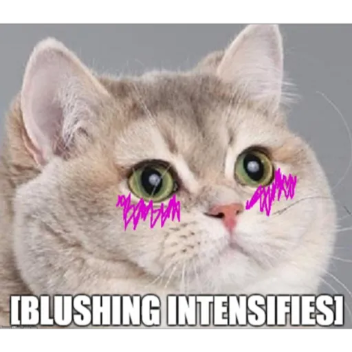 Sticker Maker - memes overload