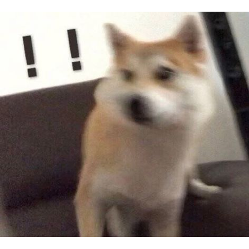 Sticker Maker - Memes Paw #1