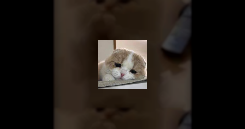 Sticker Maker - Meow