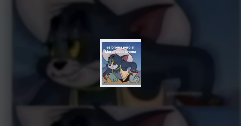 Sticker Maker - michi