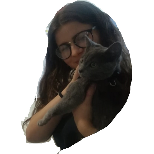 Sticker Maker - michis