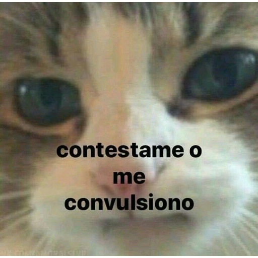 Sticker Maker - MICHIS