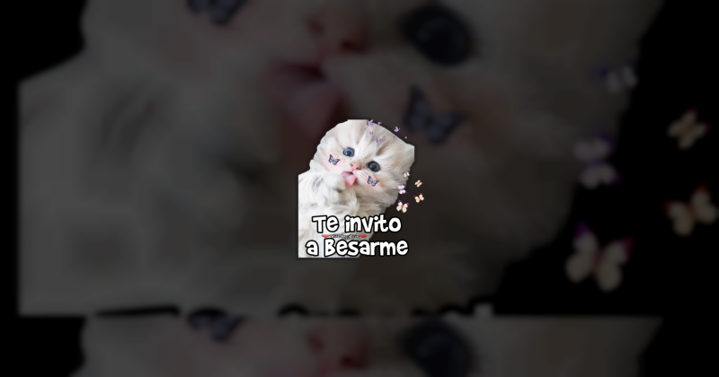 Sticker Maker - Michis Stickers