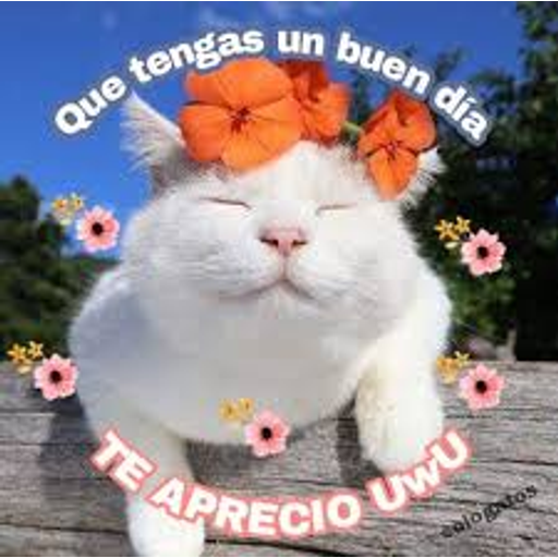 Sticker Maker - MICHIS