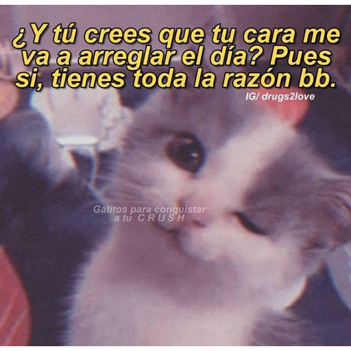 Sticker Maker - MICHIS