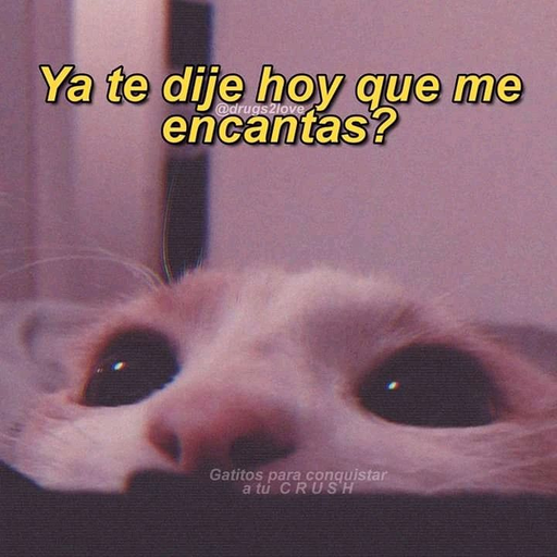 Sticker Maker - MICHIS