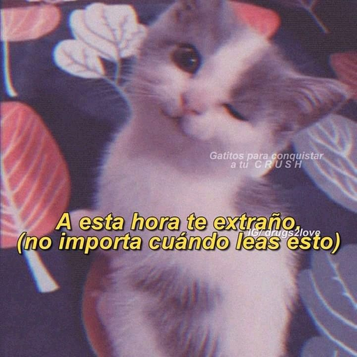 Sticker Maker - MICHIS