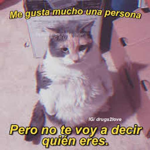 Sticker Maker - MICHIS