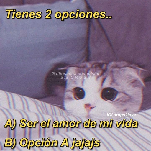 Sticker Maker - MICHIS