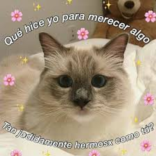 Sticker Maker - MICHIS