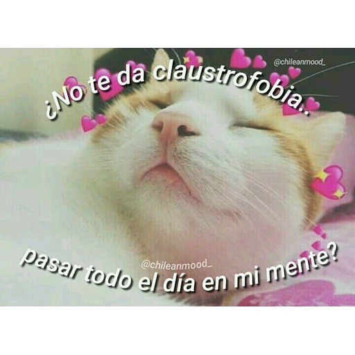 Sticker Maker - MICHIS