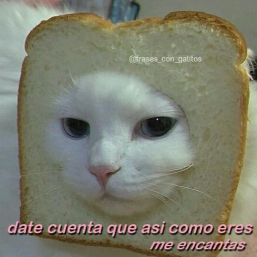 Sticker Maker - MICHIS