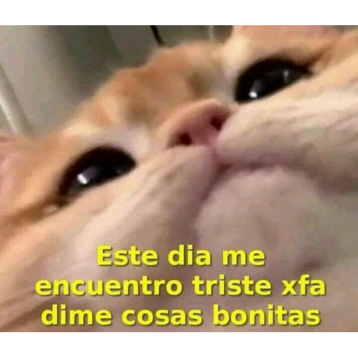 Sticker Maker - MICHIS