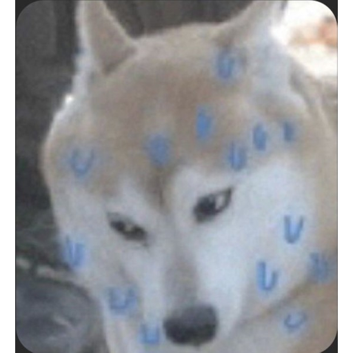 Sticker Maker - mine rand