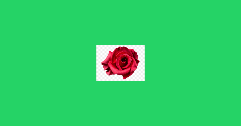 Sticker Maker - Mis stickers