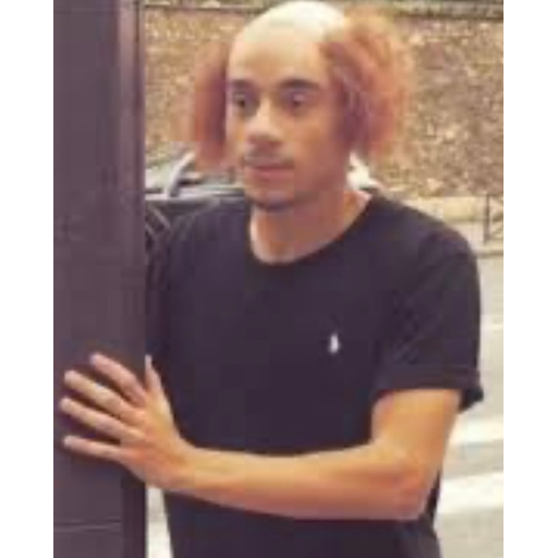 Sticker Maker - Mister V meme