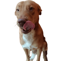 Sticker Maker - Mmmm lezat