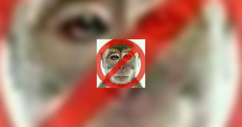 Sticker Maker - Monkeys #1