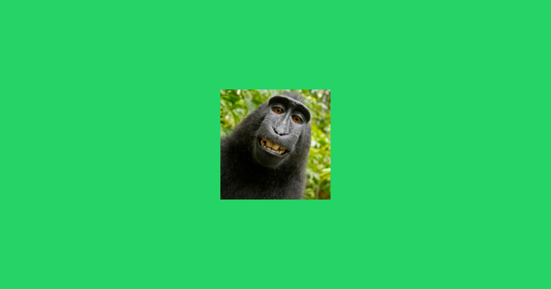 Sticker Maker - Monkeys2