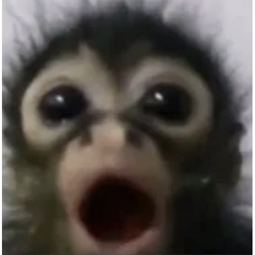 Sticker Maker - Monki