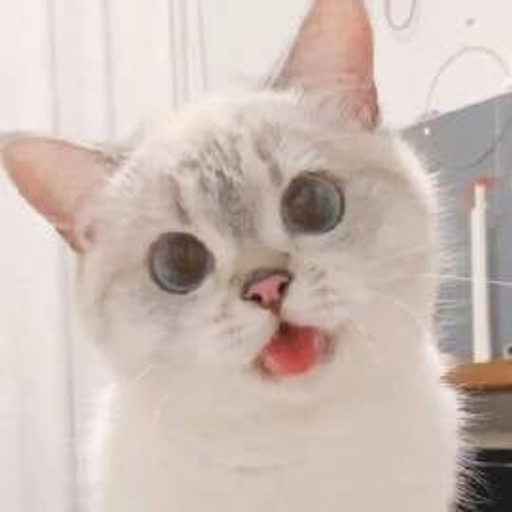 Sticker Maker - nana the cat