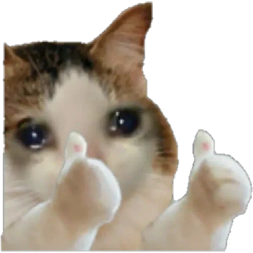 Sticker Maker - New 157