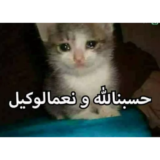 Sticker Maker - New 24