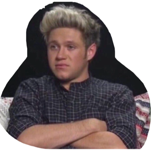 Sticker Maker - Niall