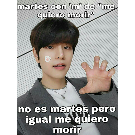 Sticker Maker - No se que hacer necesito ayuda