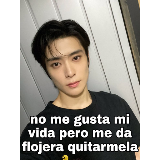 Sticker Maker - No se que hacer necesito ayuda