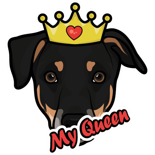 Sticker Maker - Nora