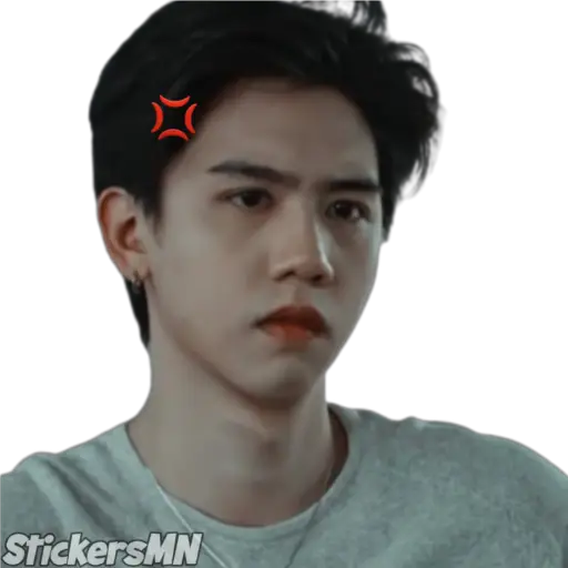 Sticker Maker - Not Me