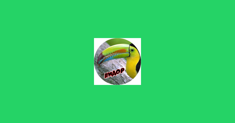 Sticker Maker - Очень злые птички