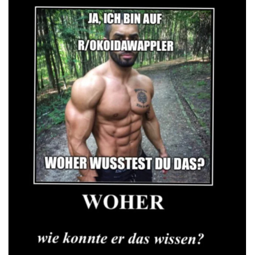 Sticker Maker - Ok Oida Wappler