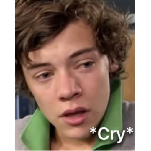 Sticker Maker - one direction