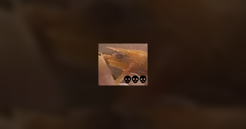 Sticker Maker - ooomaagaaa