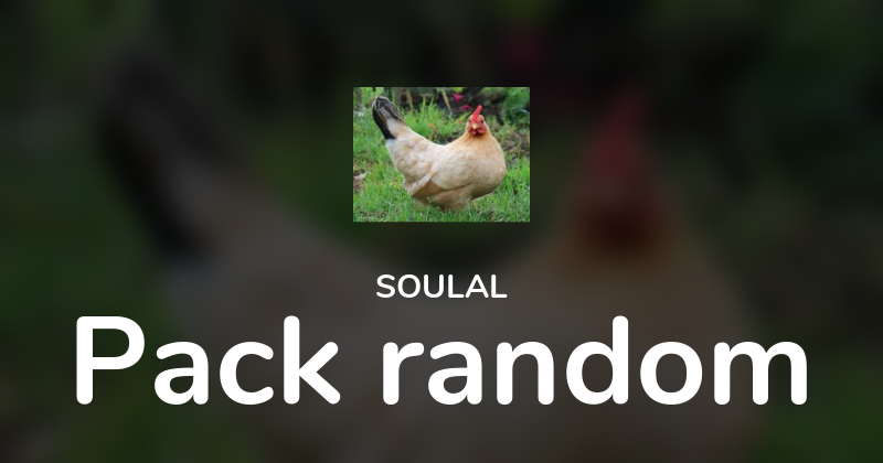 Sticker Maker - Pack random