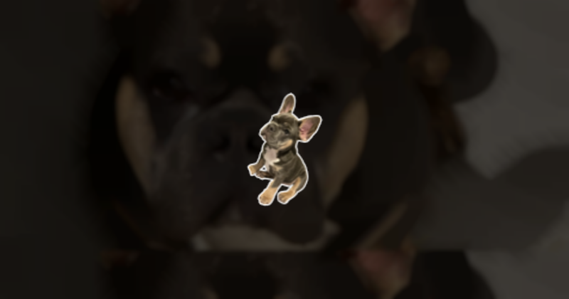 Sticker Maker - Paco