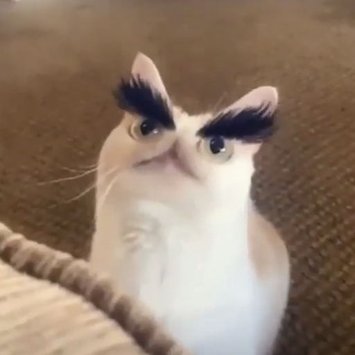 Sticker Maker - Palas