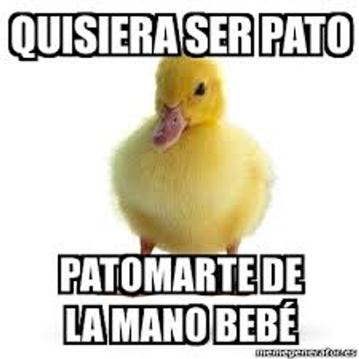 Sticker Maker - patos