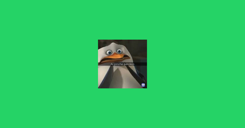 Sticker Maker - Pendejo