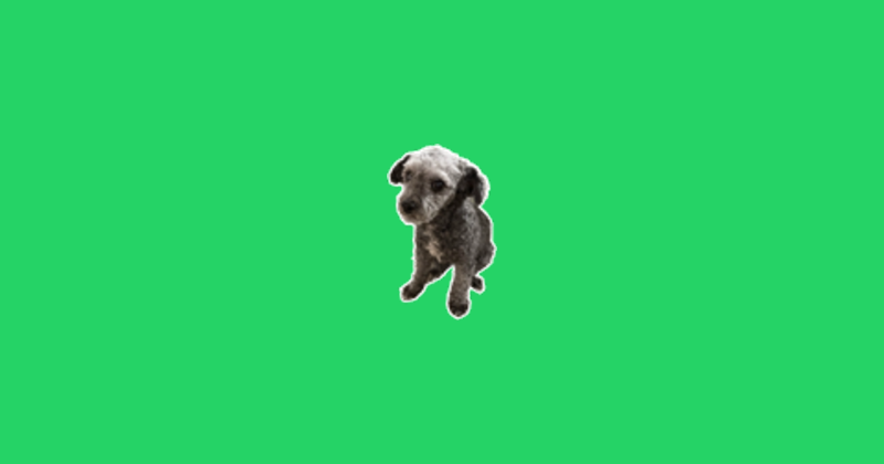Sticker Maker - pepi
