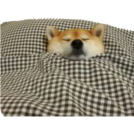 Sticker Maker - PERRITO